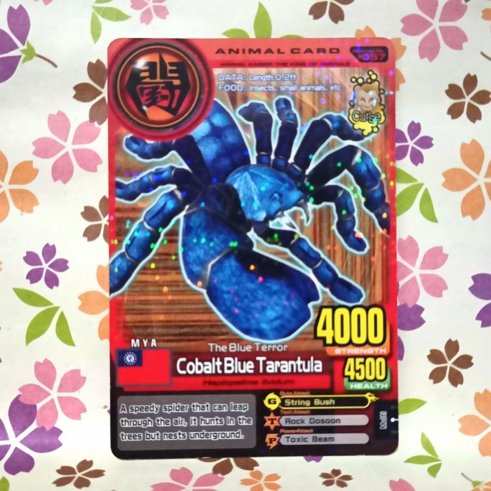 Animal kaiser normal cobalt blue tarantula version 5 | Shopee Philippines