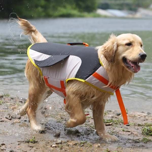 cat costume dog life vest Dog Swimwear Summer Swimming Buoyancy Clothes ...