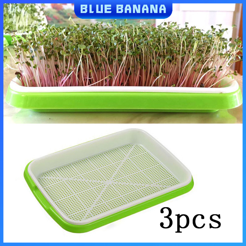 3pcs Seed Sprouting Tray Cat Grass Seedling Hydroponics Tray Bean ...
