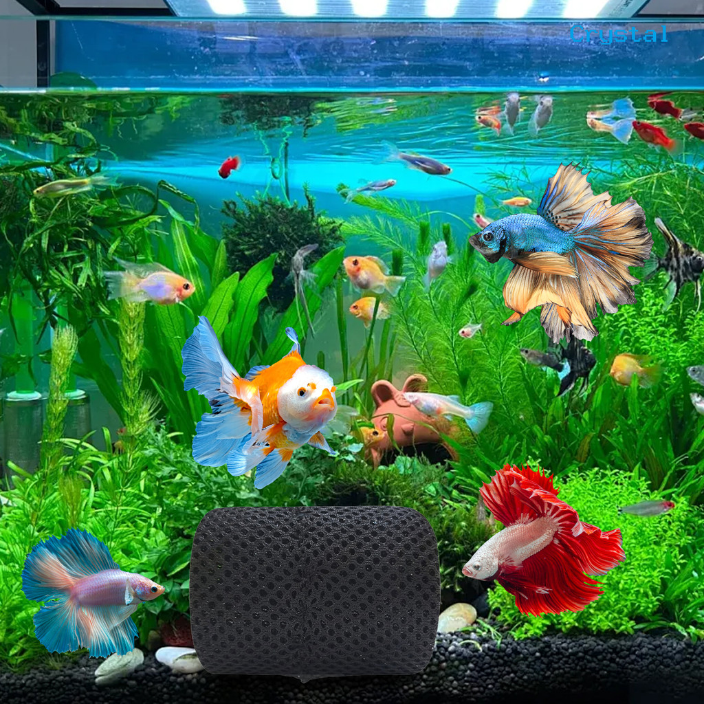 [CRY]Betta Fish Tunnel Fish Tank Cave with Suction Cup Plastic Fish ...