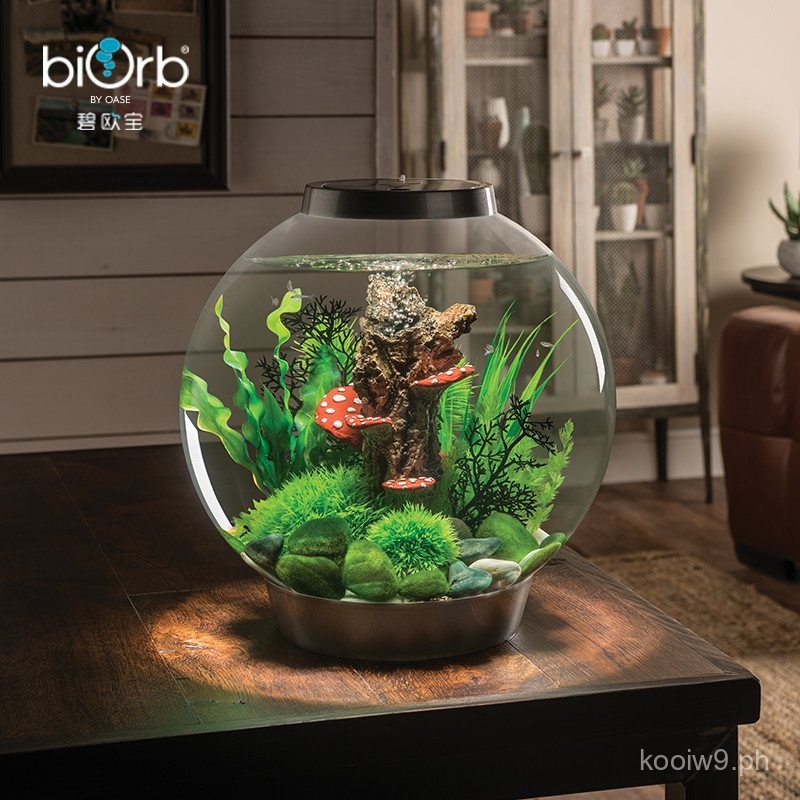 BioPro Acrylic Ball-Shaped Living Room Small Fish Tank Aquarium ...