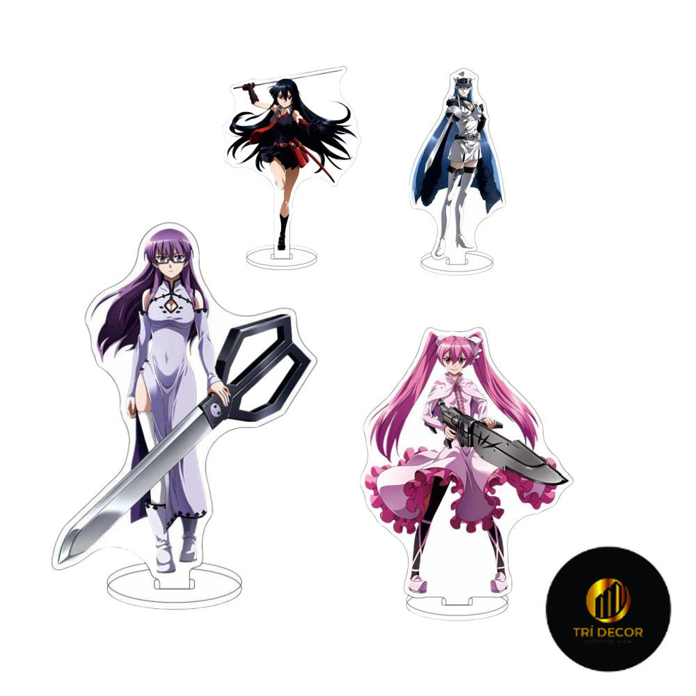 Keychain, Standee Model Japanese Anime Akame ga KILL Akeme Sheenle ...