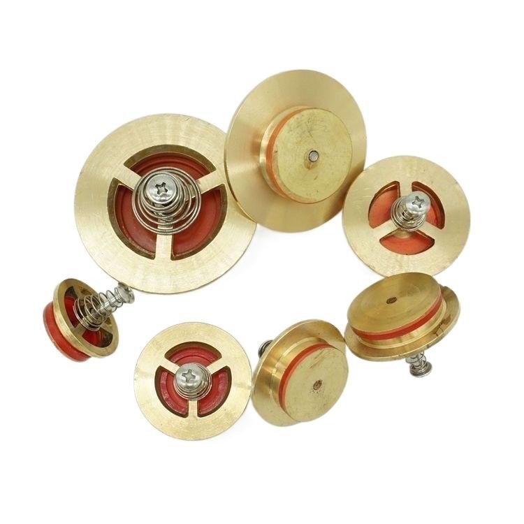 Self-Priming Pump Check Valve Return Copper Spring Valve Self-Priming ...