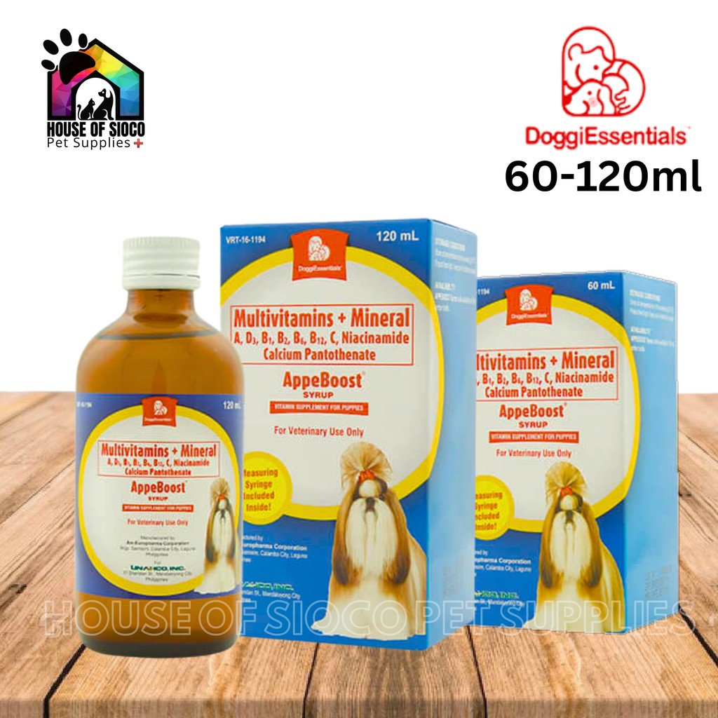AppeBoost Multivitamins 60-120ml | Shopee Philippines