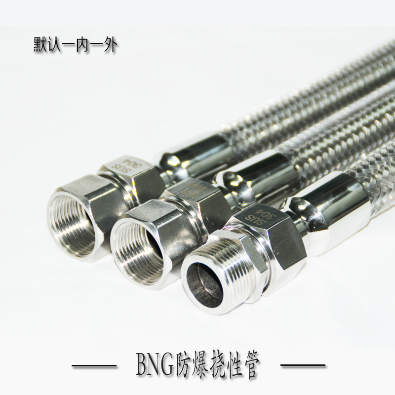 Hot Sale304Stainless Steel BNG Explosion-proof Flexible Connection Pipe ...