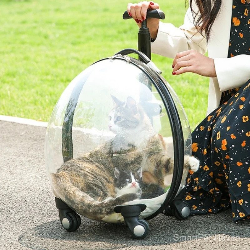 3-Gear Adjustable Pet Trolley - Transparent Bubble Carrier with Wheels ...