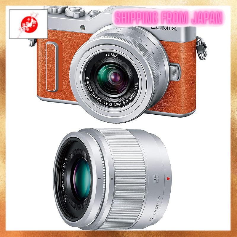 Panasonic Lumix GF10 Mirrorless Camera Double Lens Kit - Standard Zoom ...