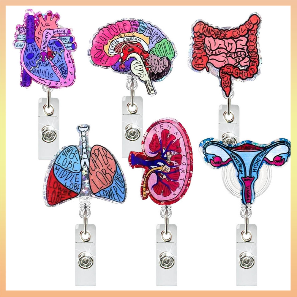 Creative Acrylic Heart Lung Brain Kidney Uterus Intestine Pattern Badge ...