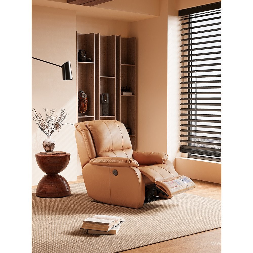 Government Subsidy Chivas First-Class Smart Chair Single Sofa Genuine ...