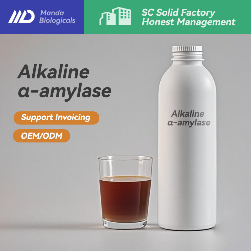 Wholesale Raw Material Alkaline Amylase Powder Liquid Active Enzyme ...