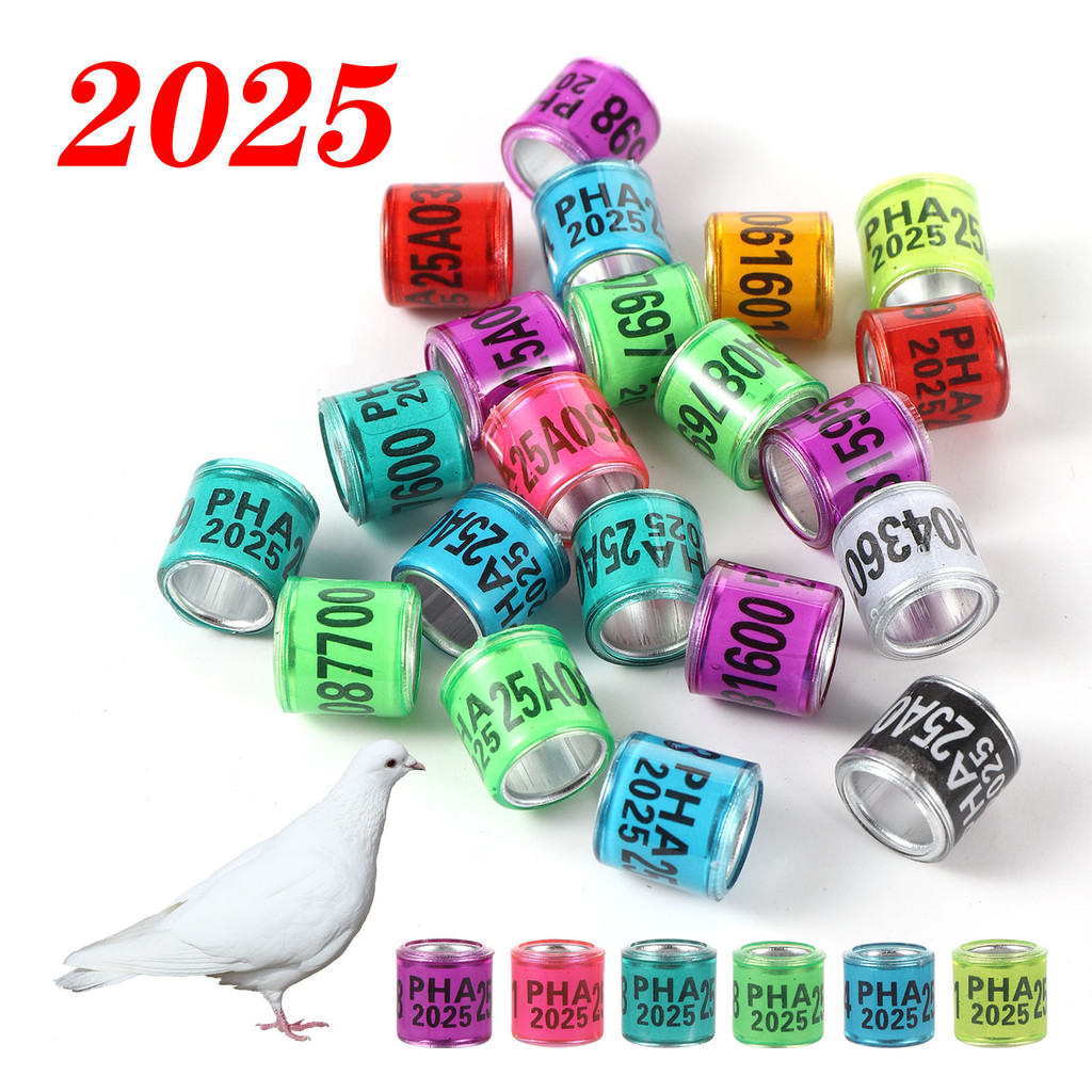 50 Pcs PHA 2025 Pigeon Foot Ring Pigeon Word with Number Commercial ...