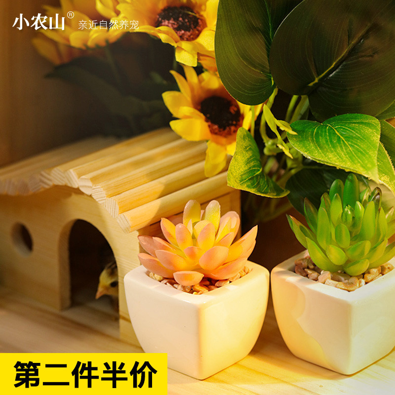 Fast Rutin Chicken Landscaping Supplies Plant Rutin Chicken Hamster ...