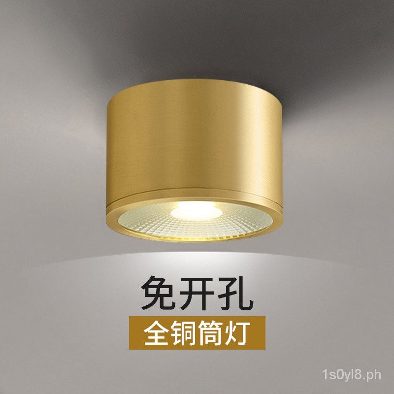 All-Copper Surface Mounted Downlight Punch Free Living Room Ceiling ...