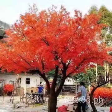 Simulation Red Maple Tree Maple Tree Big Tree Hotel Large Imitative ...