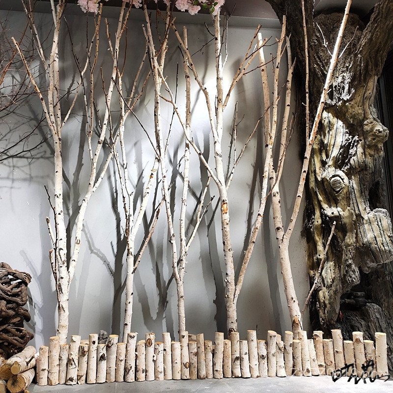 Tree Branches Wooden Stems Fake Tree Branches Partition Background Wall ...