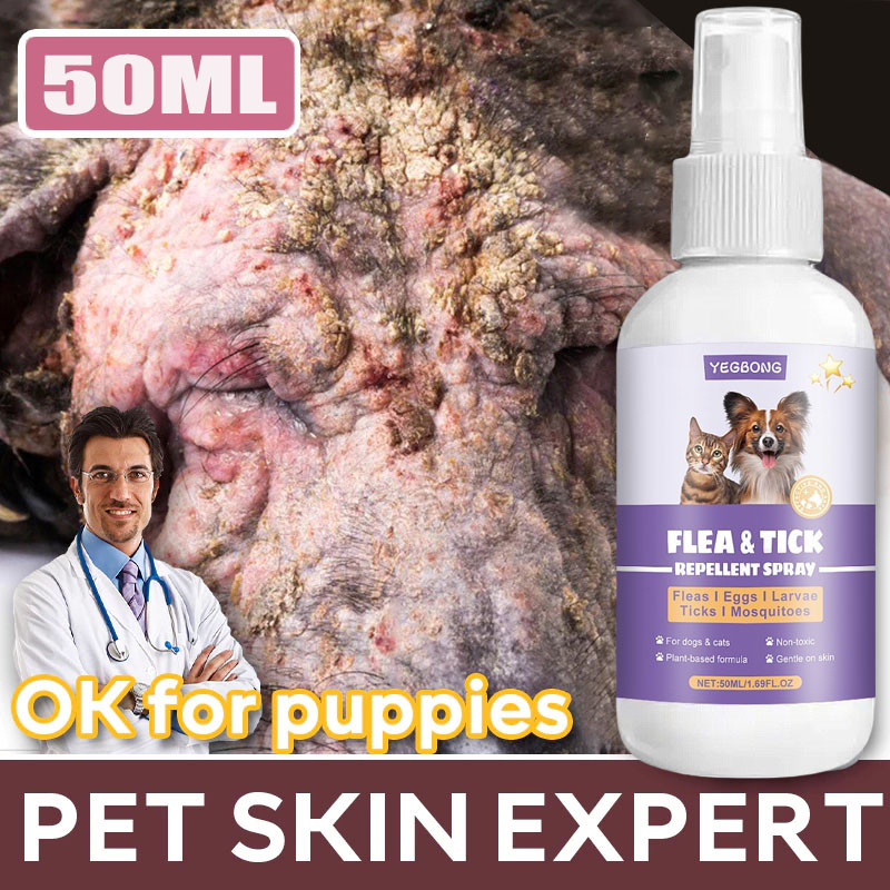 50ML Pet Skin Treatment for dogs Galis Ng Aso Gamot Dogs Cats Anti ...