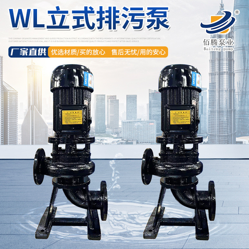 Cast Iron Explosion-Proof Impurities Wear-Resistant Dry Installation ...