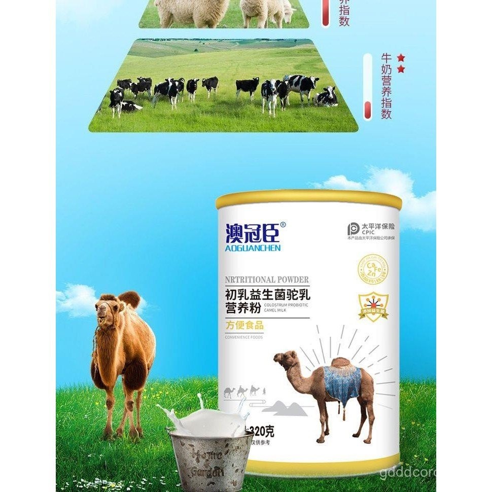 Buy One Hair Ten Australian Guanchen Camel Milk Powder with Calcium ...
