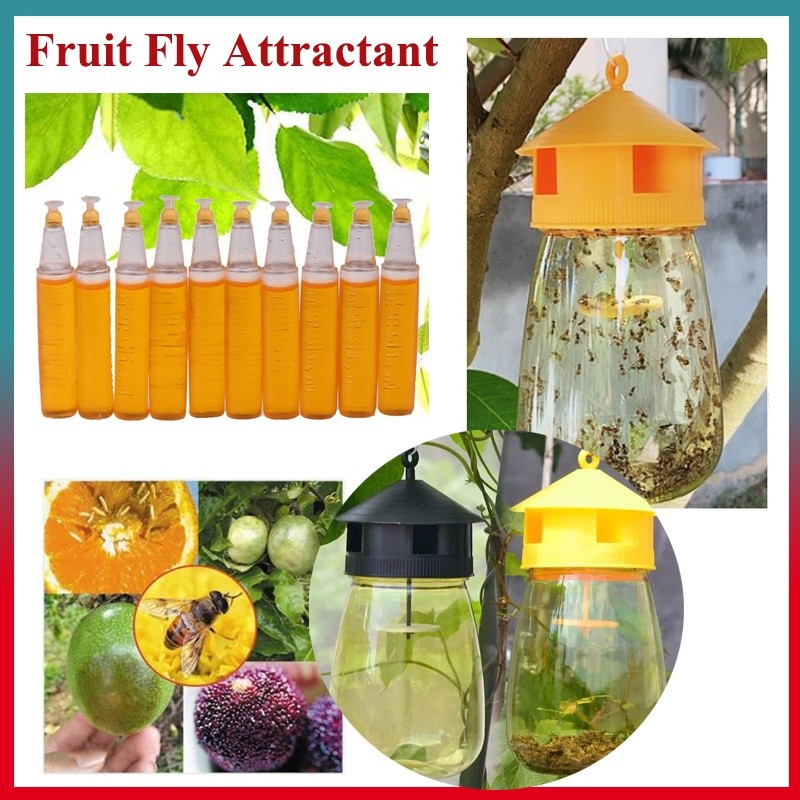 Fruit Fly Attractant Trap Bait Lure Insect Flies Pest Control Tool ...
