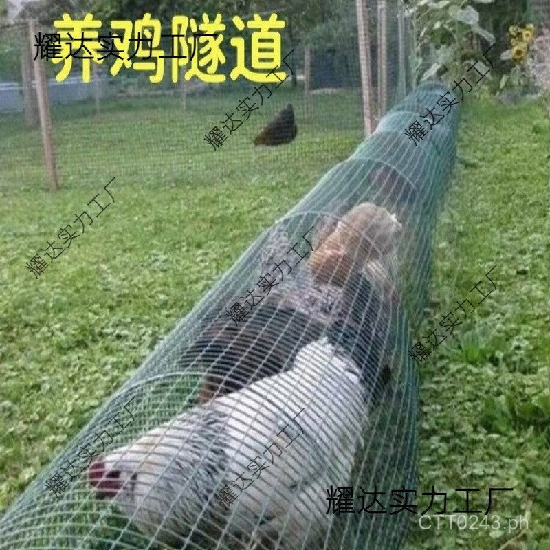 Outdoor Chicken Coop Tunnel for Free-Range Chicken Cages, Chicken ...