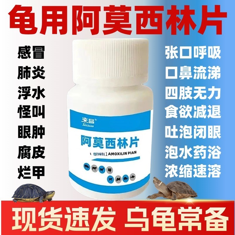 5012 People Praise Turtle Medicine Amosilin Turtle Pneumonia Floating ...