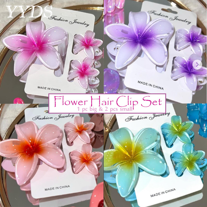 3pcs/set Flower Hair Clip for Women Clamp Set Frangipani Big&small Set ...
