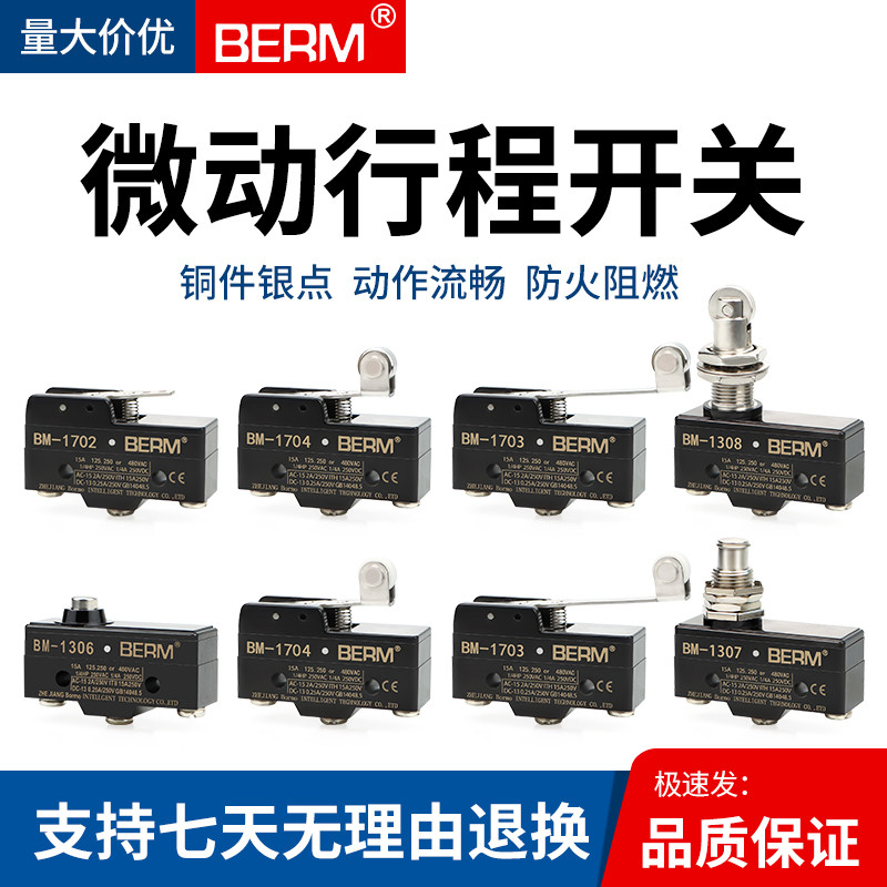 Limit Stroke Micro Switch BM-1701 1702 1703 1704 1308 Z-15GW22-B LXW5 ...