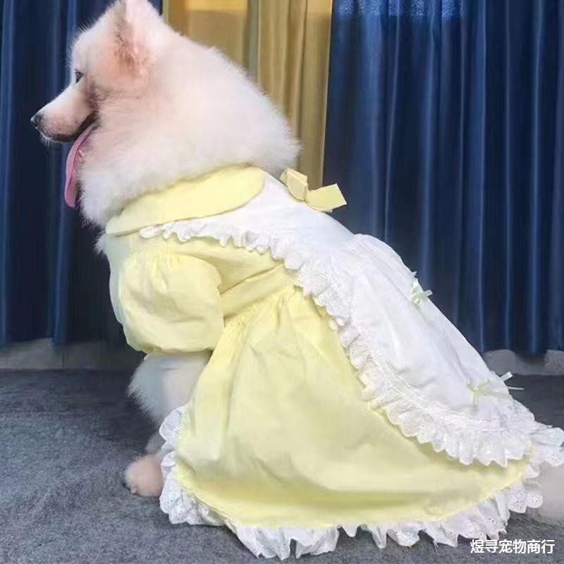 big dog dress Princess Style pet gown large dog costume for Golden ...