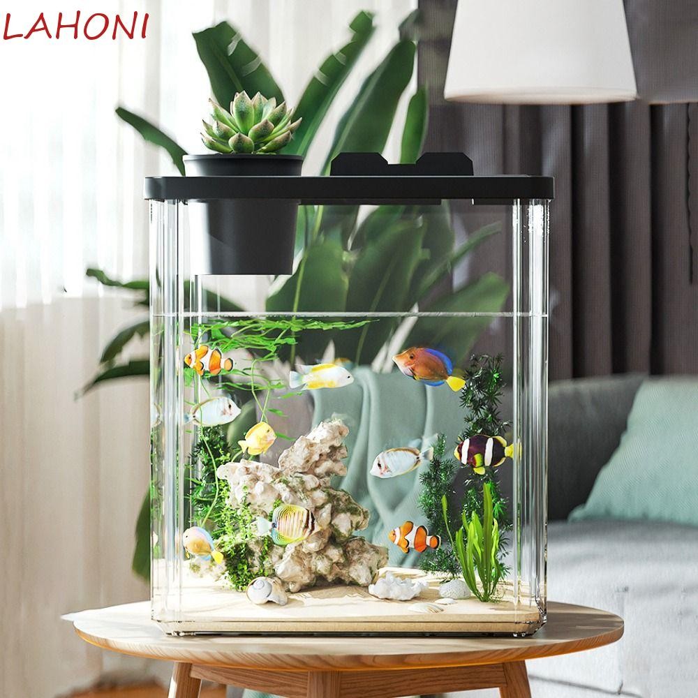 CURTES Betta Fish Viewing Box, Transparent Removable Tabletop Fish Tank ...