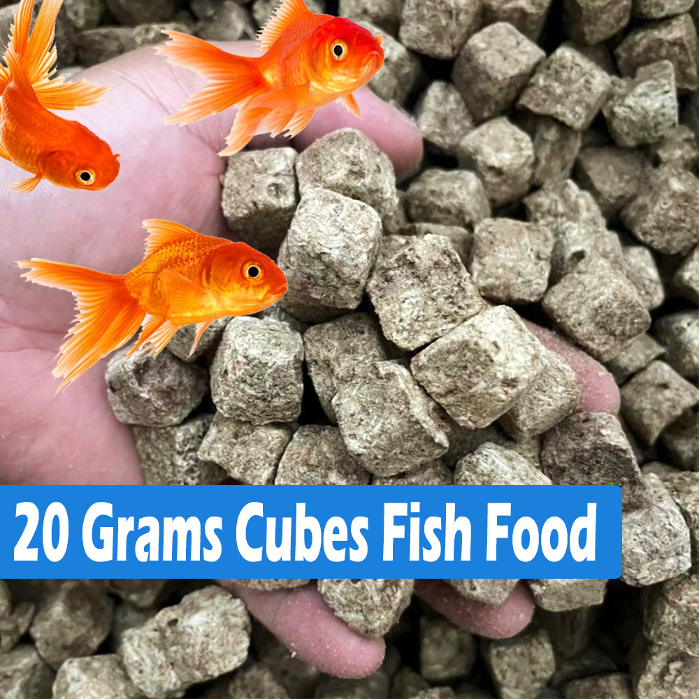 20 Grams Cubes Fish Food Treats High Quality Freeze Dried Tubifex Worm ...