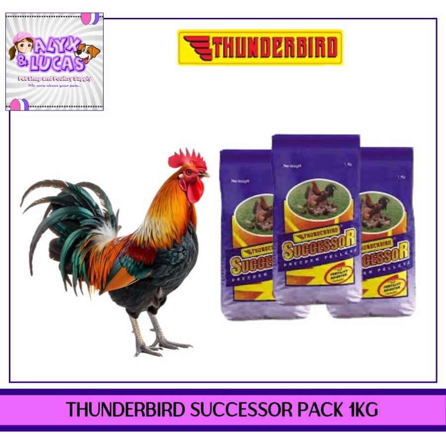 TB Successor Pack 1kg | Shopee Philippines