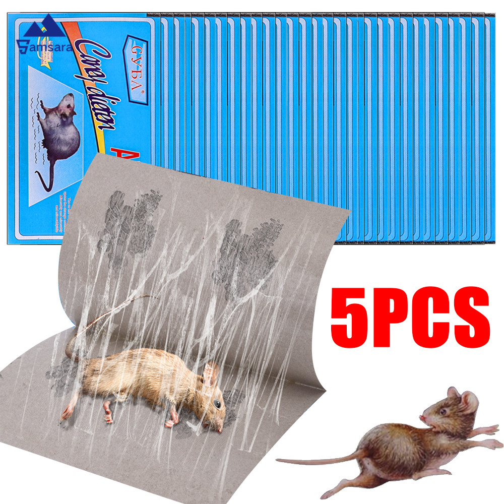 Professional Mouse Trap with Super Sticky Adhesive | 25x34cm Jumbo Size ...