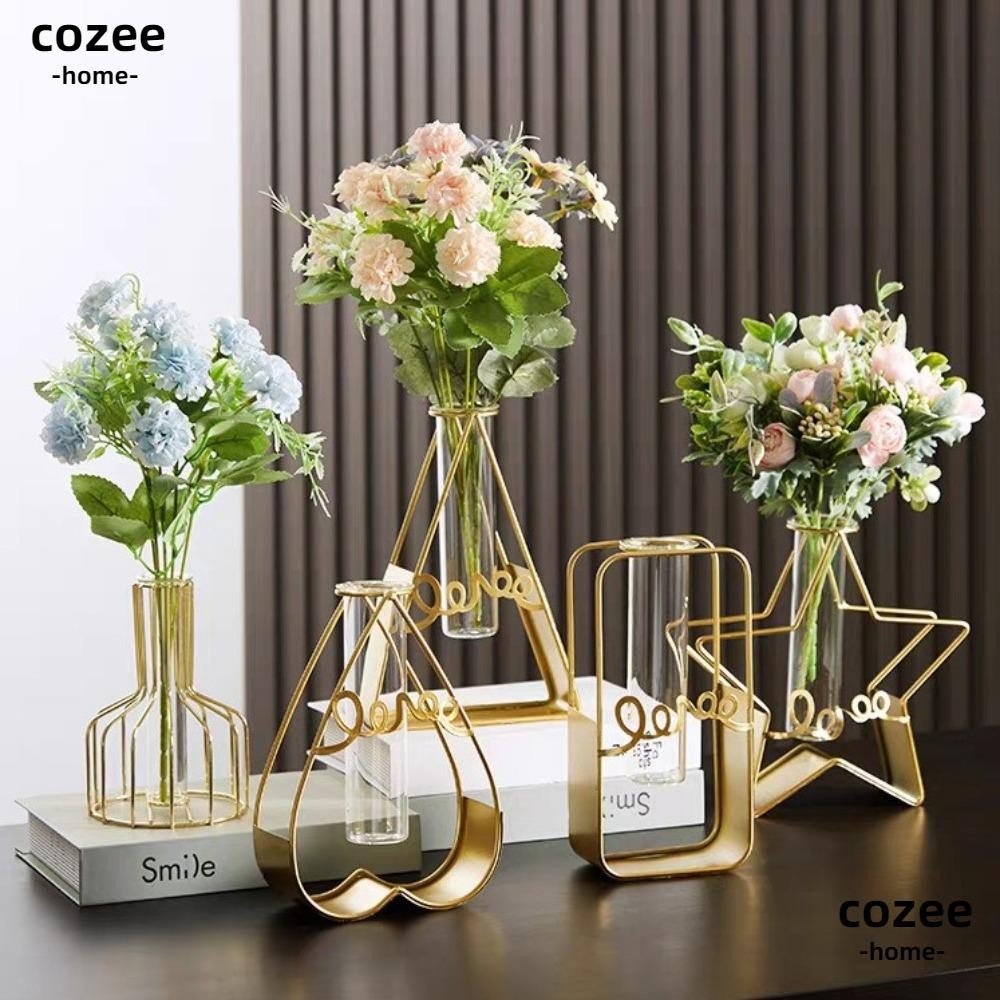 COZEE Hydroponic Vase, Pentagram Heart Triangle Rectangle Glass Test ...