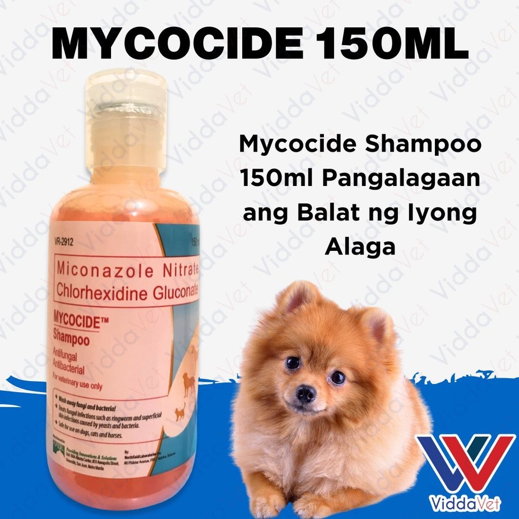 Fast-Acting Antifungal Relief MYCOCIDE 150ml Shampoo Cleans & Treats ...