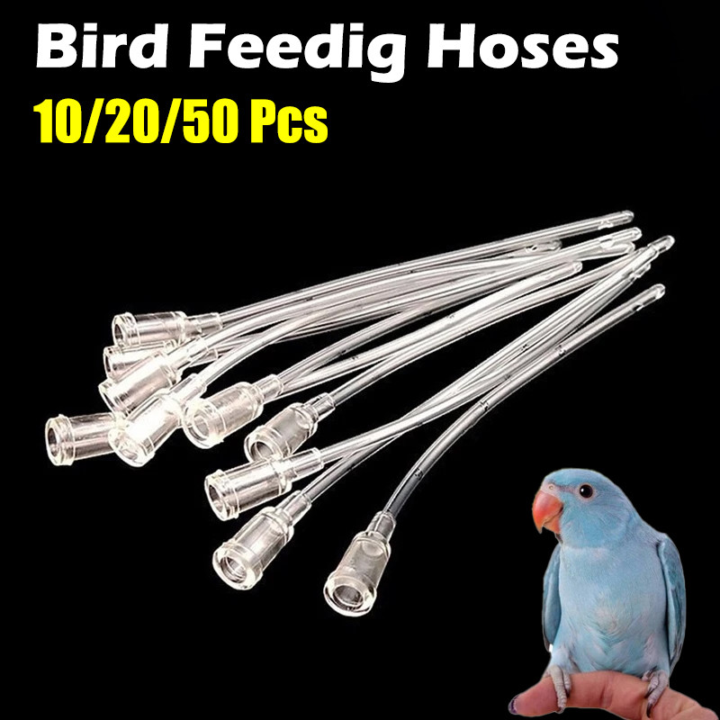 10Pcs Bird Feeding Soft Tube Parrot Hand Feeding syringe Soft Hose ...