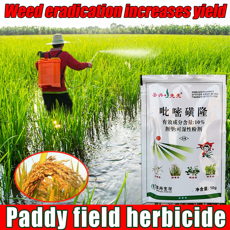 Herbicide for Rice Special Herbicide for Paddy Fields Effectively and ...