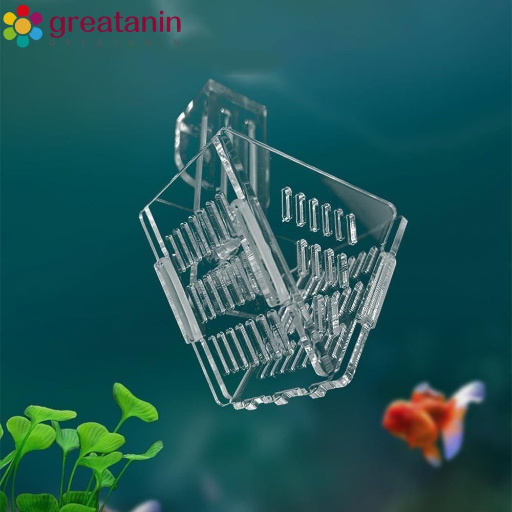 GREATANIN Cone Red Worm Feeder, Transparent Fish Food Dispenser Fish ...