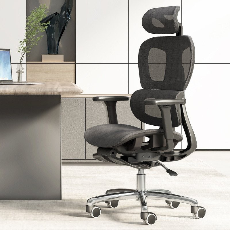 Calevey Long-Sitting Home Lifting Engineering Chair Learning Body E ...