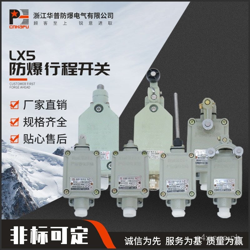 Explosion-Proof Travel Switch LX5Aluminum Alloy Explosion-Proof Limit ...