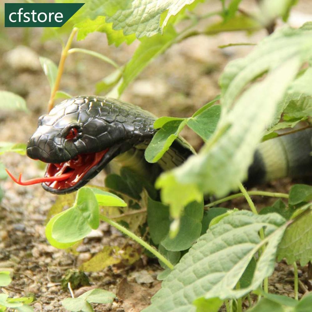 CFSTORE Lifelike Realistic Remote Control King Naja Cobra Long Range ...
