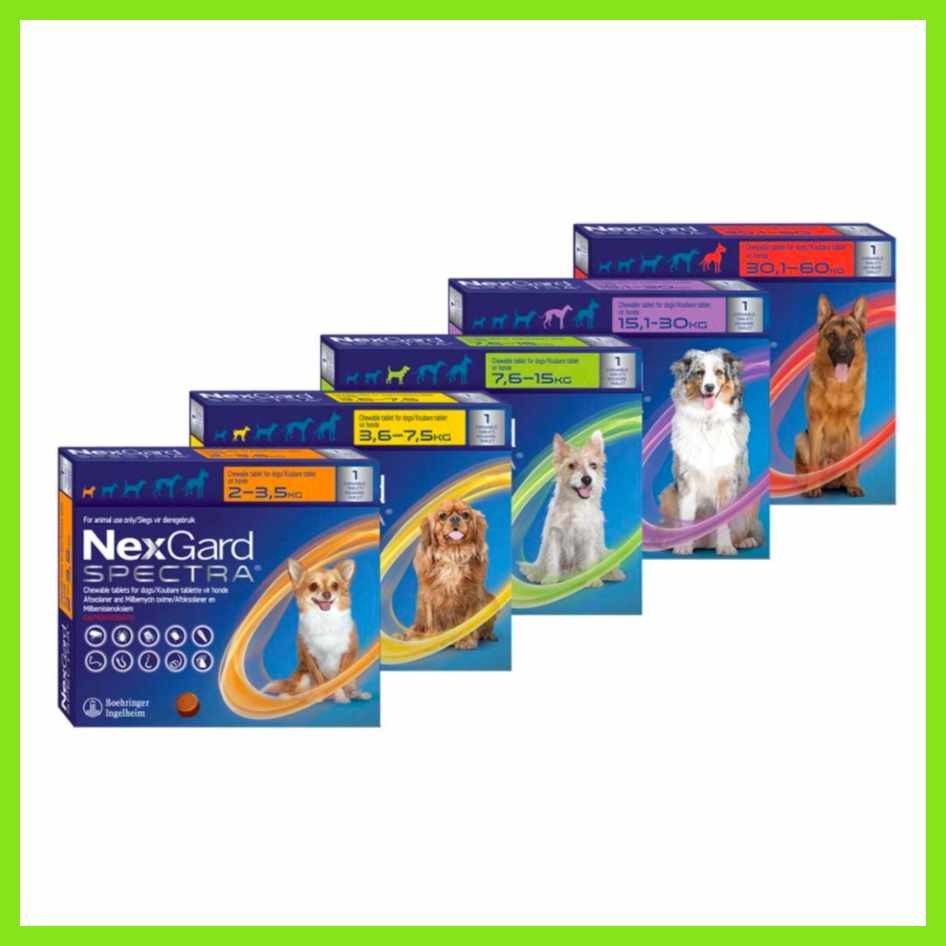NexGard|V Tablets)c>with)i>Sticker | Shopee Philippines