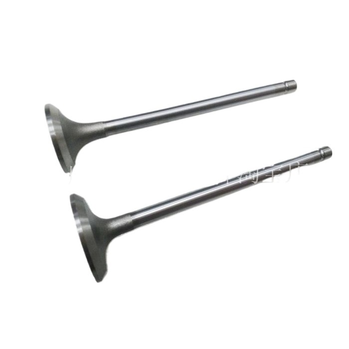 Mitsubishi Pajero V14 V24 V44 4D56 valve Delica 4D56 intake valve ...