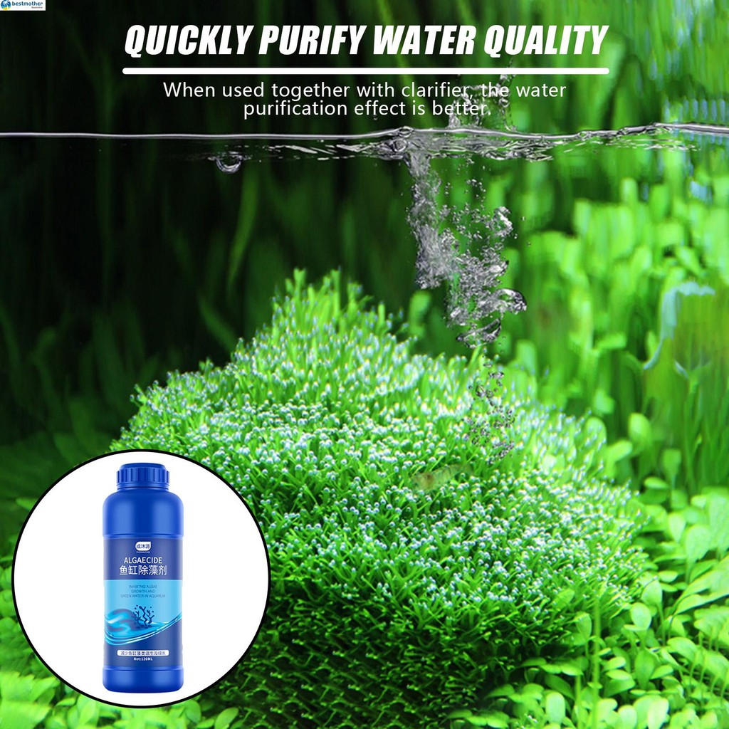 Algae Remover Fish Tank Quick Clear Moss Green Water and Algae Healthy ...