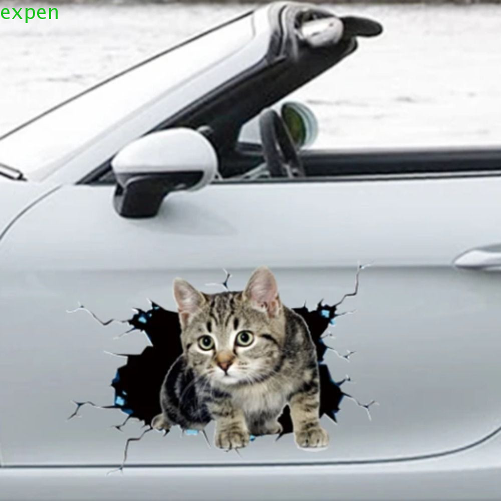EXPEN Car 3D Cat Stickers, 3D Cat Animal Styling Cat in The Crack ...