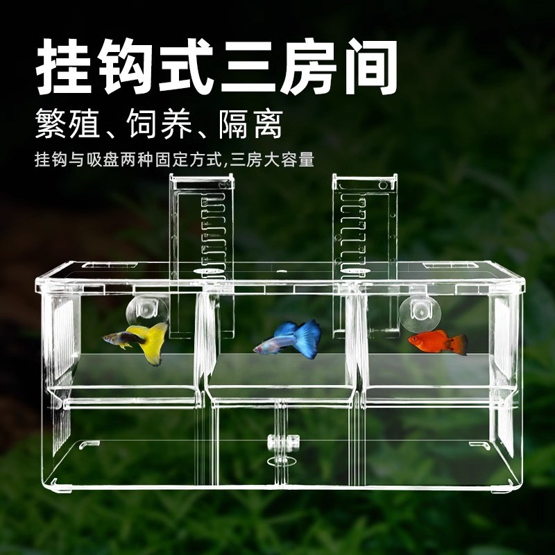 Guppy Breeding Box Fish Tank Non-Acrylic Isolation Box Extra Large ...