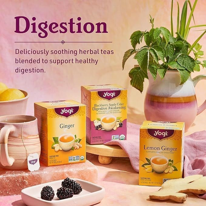 Yogi Digestion Teas, 16 Tea Bags | Shopee Philippines