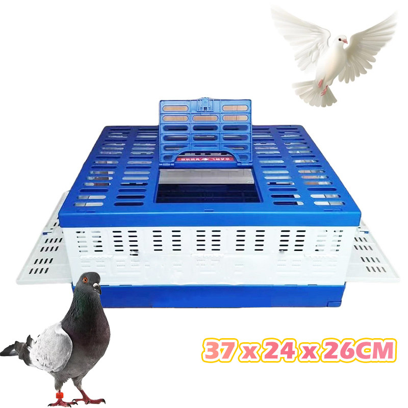 ABS durable Pigeon Foldable Training Box 1-3 capacity of Bird Pigeon ...