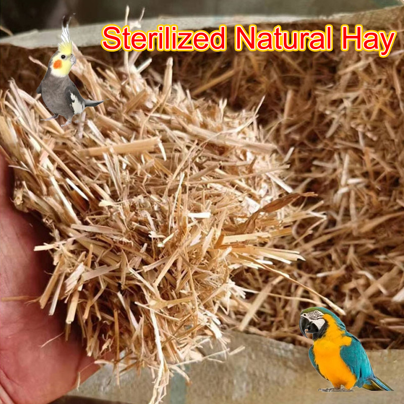 Canary Parrot Nesting Material Sterilized Natural Hay for Birds ...