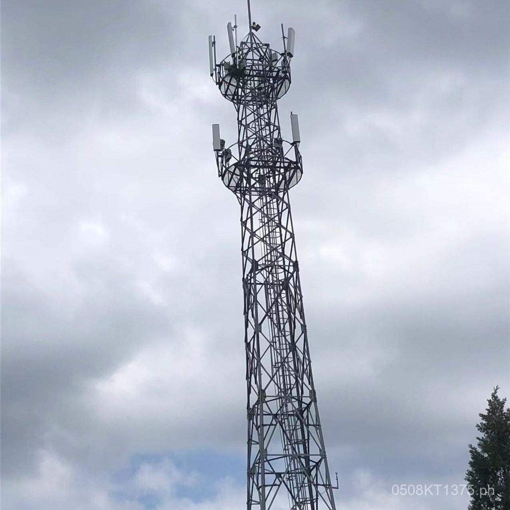 17Meters Independent Lightning Rod Lightning Rod Tower19Rice20Midea ...