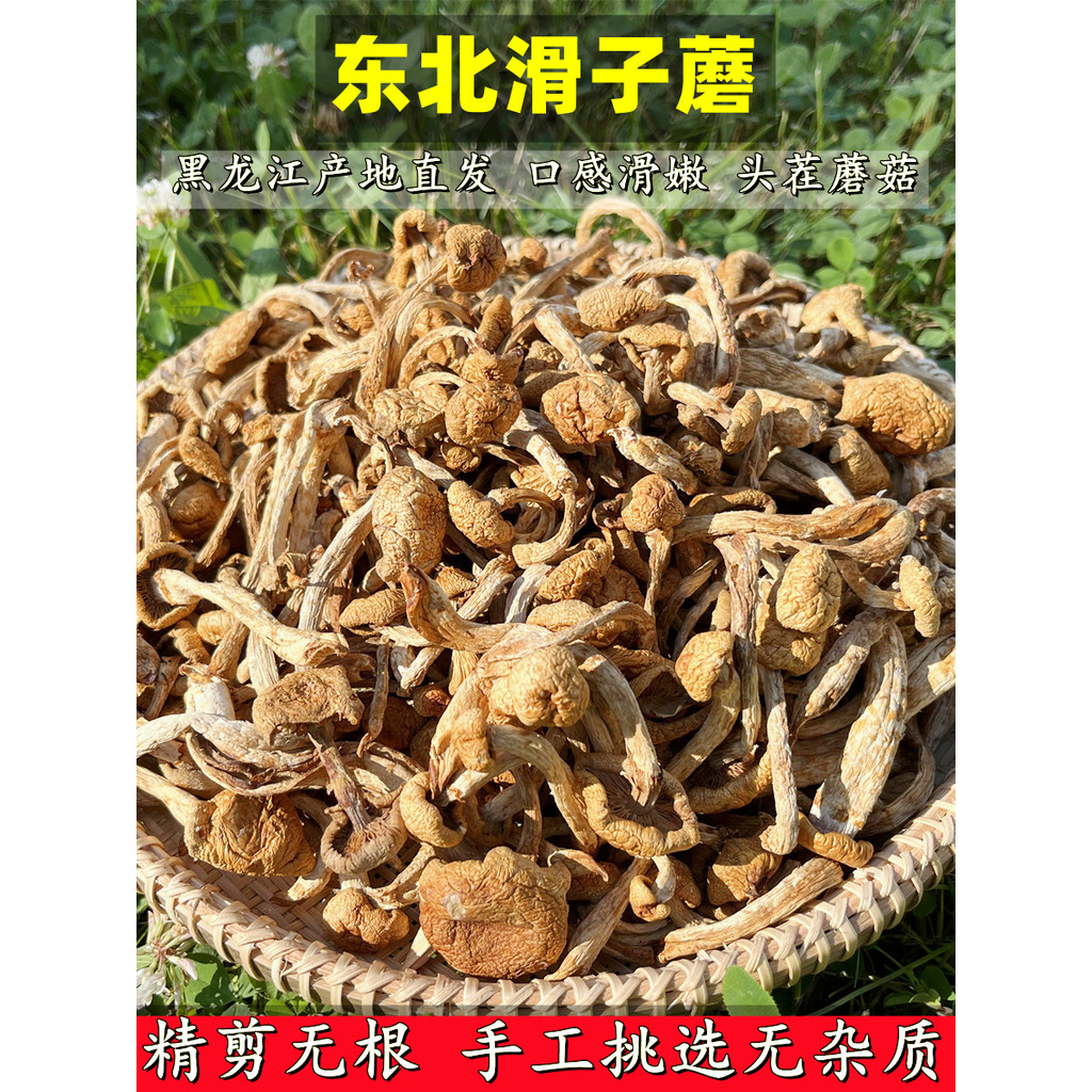 Northeast Dried Mushroom Hygrophoropsis Aurantiaca Dry Goods Mushroom ...